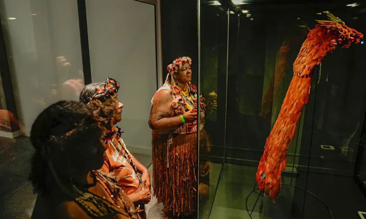 Patrimônio dos povos indígenas, Manto Tupinambá ganha homenagem no ...