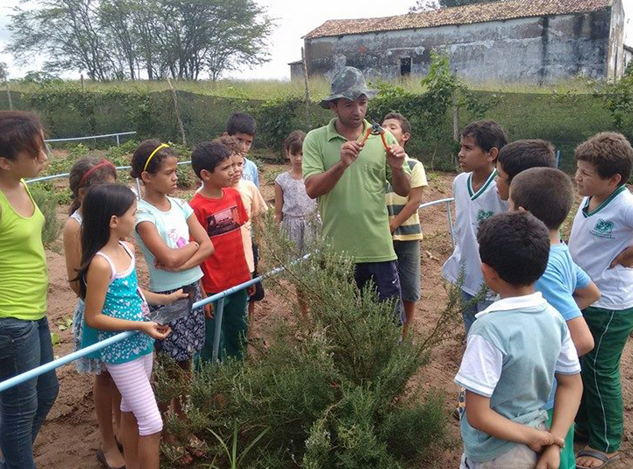 Em Alagoas, escola rural utiliza realidade local para transformar ...