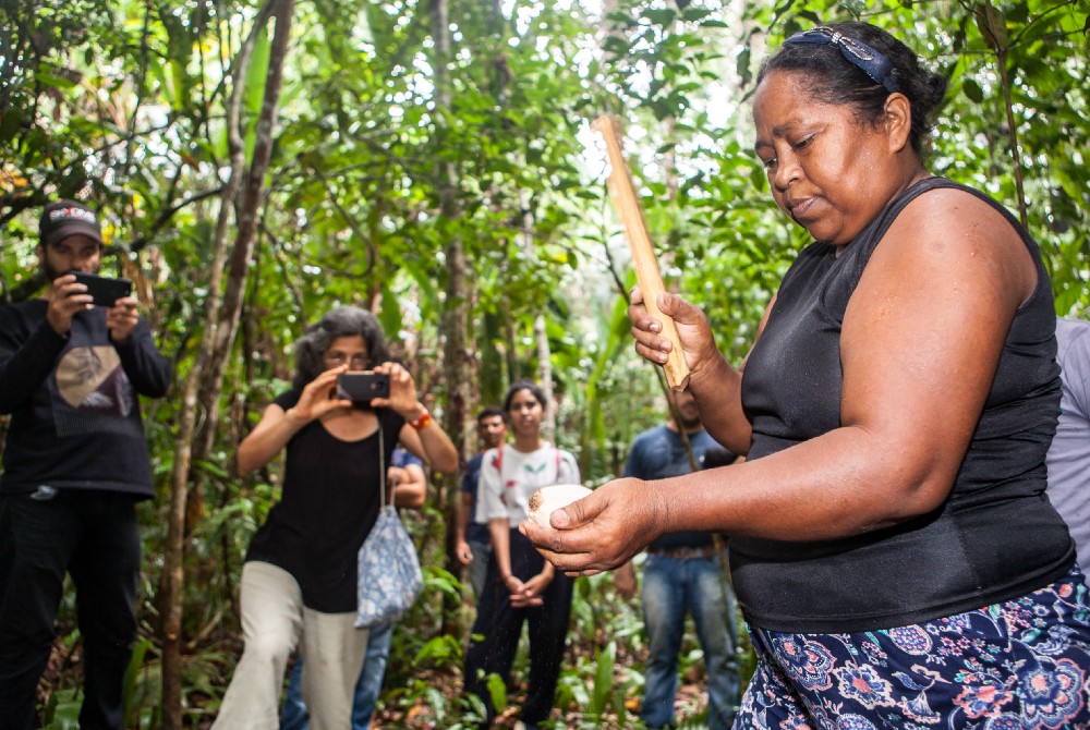 Babaçu: da floresta para a merenda - Educação e Território